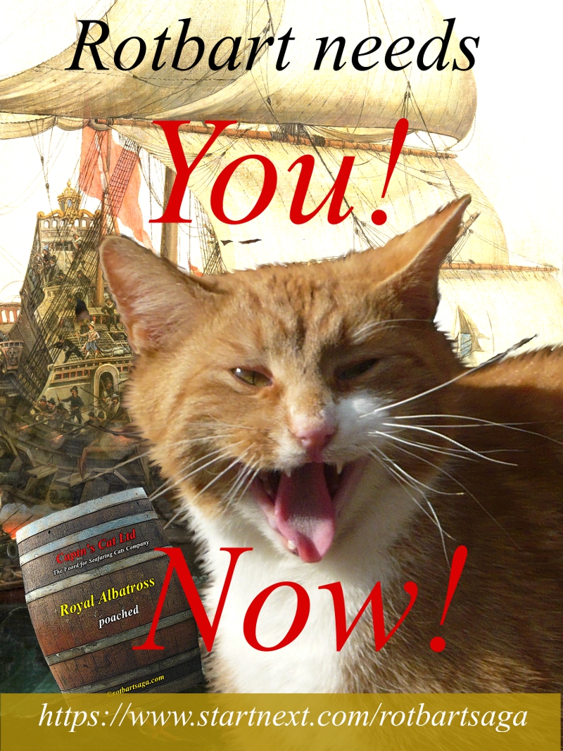 Rotbart needs You – Now! | Rotbartsaga - über einen legendären Schiffskater